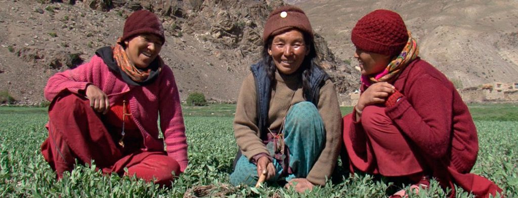 Caroline Riegel - Regard'Ailleurs